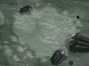 Ugh | Encyclopedia SpongeBobia | Fandom