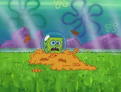 Spongebob Prehibernation Week