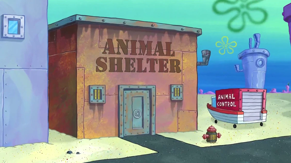 Animal shelter | Encyclopedia SpongeBobia | Fandom