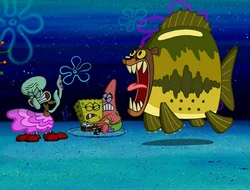 Bear Shark Spongebob