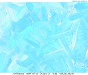 MuscleBob BuffPants | Encyclopedia SpongeBobia | Fandom