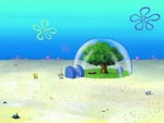 Sandy Cheeks' treedome/gallery | Encyclopedia SpongeBobia | Fandom