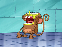 Perfect Chemistry | Encyclopedia SpongeBobia | Fandom