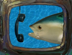 Spongebob Talking Fish