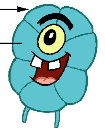 Plankton 9 | Encyclopedia SpongeBobia | Fandom