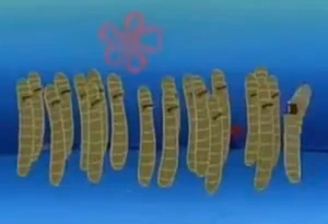 ESB:Project Characters/appearances | Encyclopedia SpongeBobia | Fandom