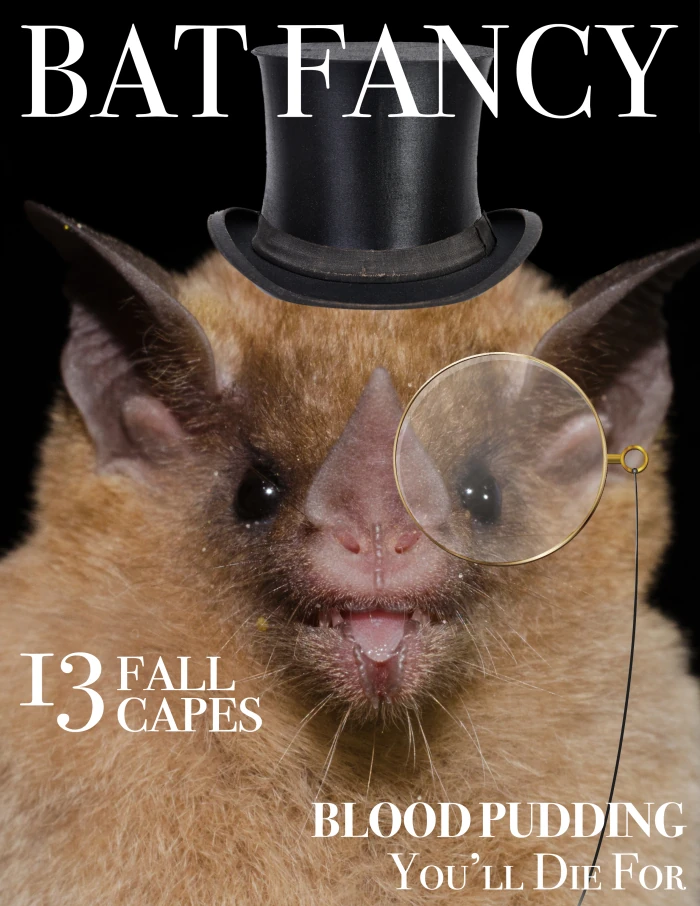 User blog:SlipperySoapFanatic64/Bat Fancy | Encyclopedia SpongeBobia ...