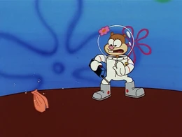 Patrick Star | Encyclopedia SpongeBobia | Fandom