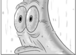 Oral Report | Encyclopedia SpongeBobia | Fandom