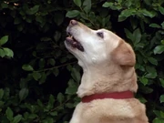 Plankton's lab | Encyclopedia SpongeBobia | Fandom