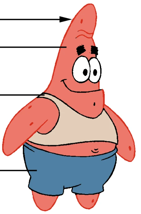 Marty | Encyclopedia SpongeBobia | Fandom