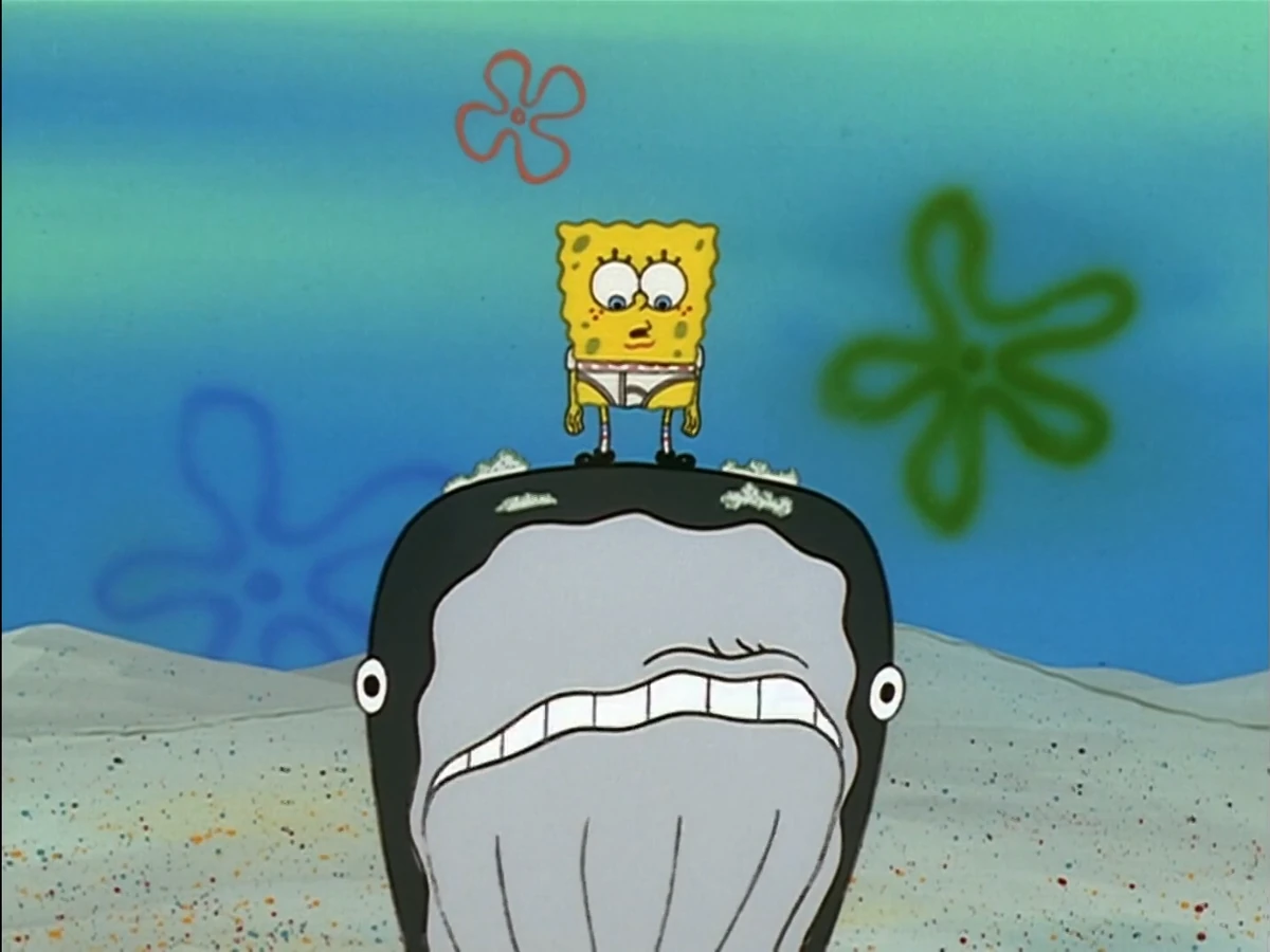 Beach Band/gallery | Encyclopedia SpongeBobia | Fandom