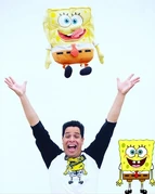 Bob Esponja | Encyclopedia SpongeBobia | Fandom