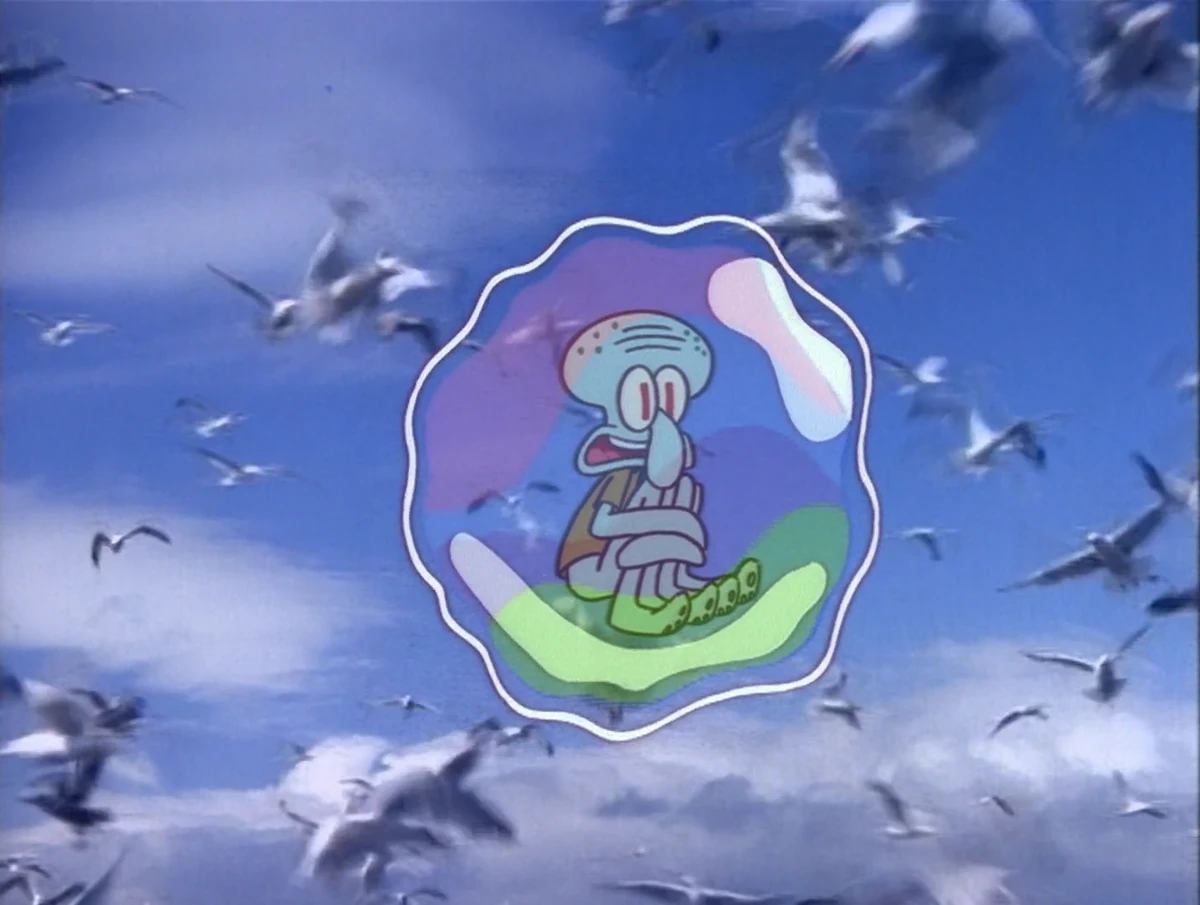 Seagull/gallery | Encyclopedia SpongeBobia | Fandom