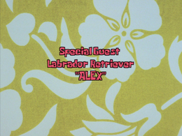 Plankton's lab | Encyclopedia SpongeBobia | Fandom