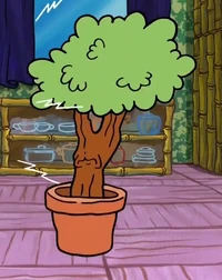 Saltwater trees | Encyclopedia SpongeBobia | Fandom