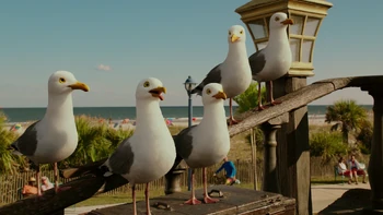 The Seagull Crew | Encyclopedia SpongeBobia | Fandom
