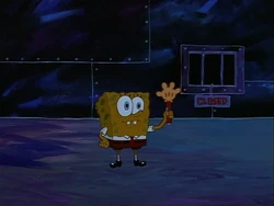 Rock Bottom Spongebob Bus Station