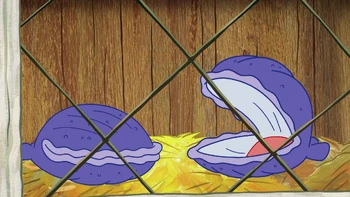 Scallops and clams | Encyclopedia SpongeBobia | Fandom