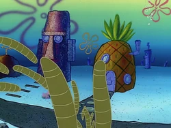 Nematodes Encyclopedia Spongebobia The Spongebob