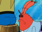 Steve | Encyclopedia SpongeBobia | Fandom
