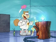 Sandy-Plankton relationship | Encyclopedia SpongeBobia | Fandom