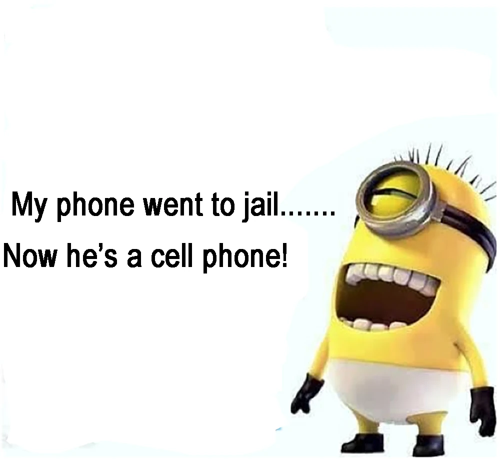What Minion Meme