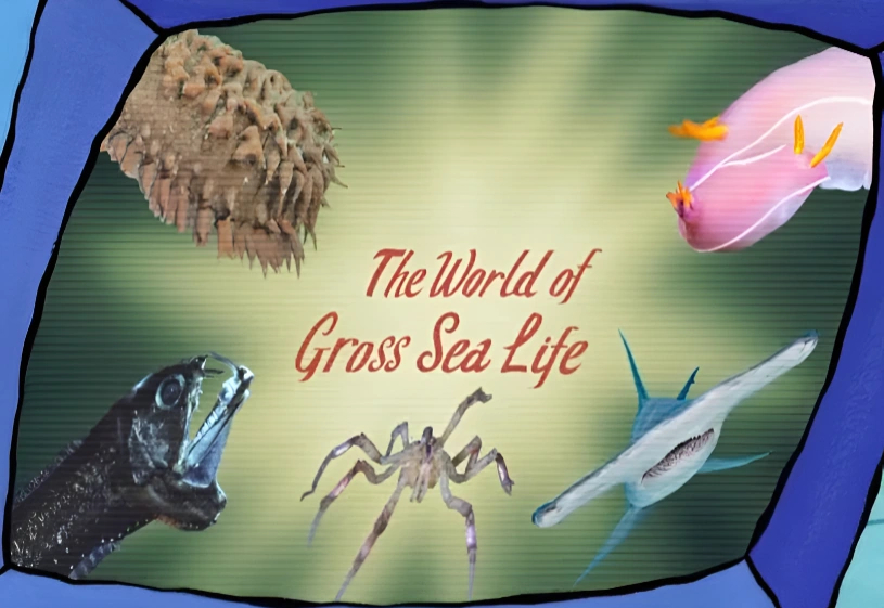 The World of Gross Sea Life | Encyclopedia SpongeBobia | Fandom