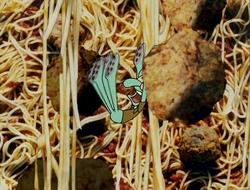 Spongebob Fly Of Despair