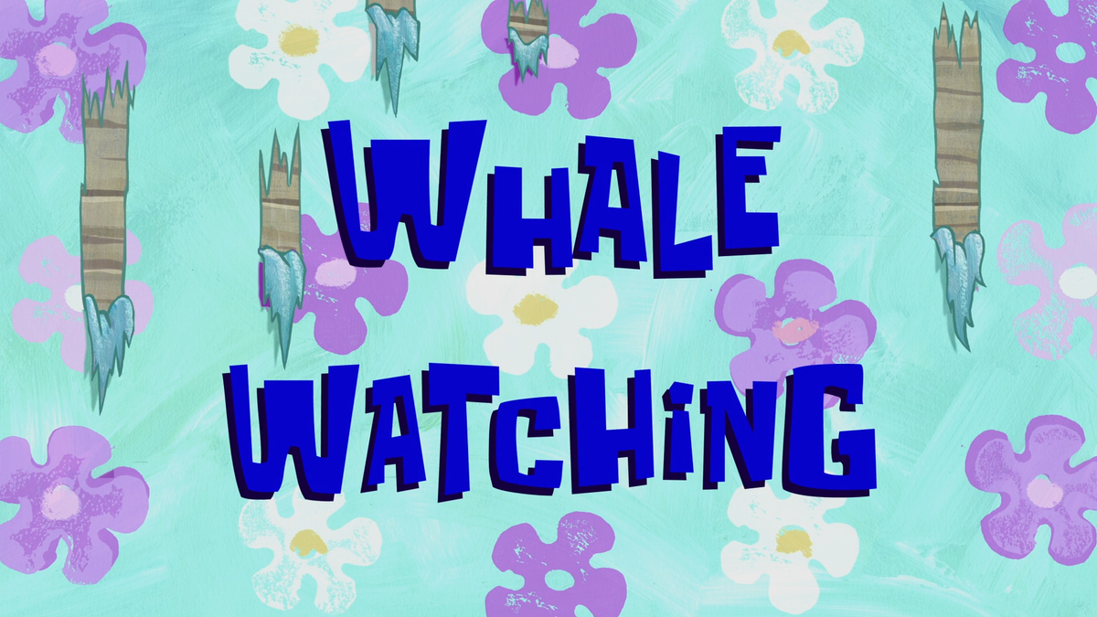 Whale Watching Encyclopedia Spongebobia Fandom