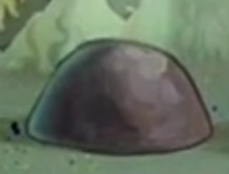 Patrick Star's house | Encyclopedia SpongeBobia | Fandom