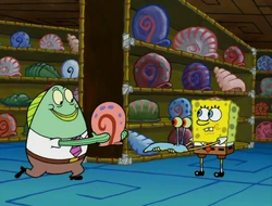 Spongebob Shell Geschokt