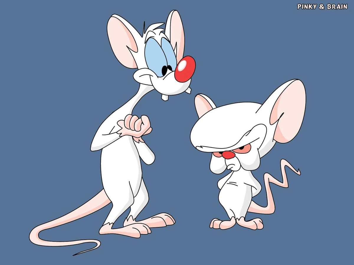 Pinky and the Brain | SpongeBob & Friends Adventures Wiki | Fandom