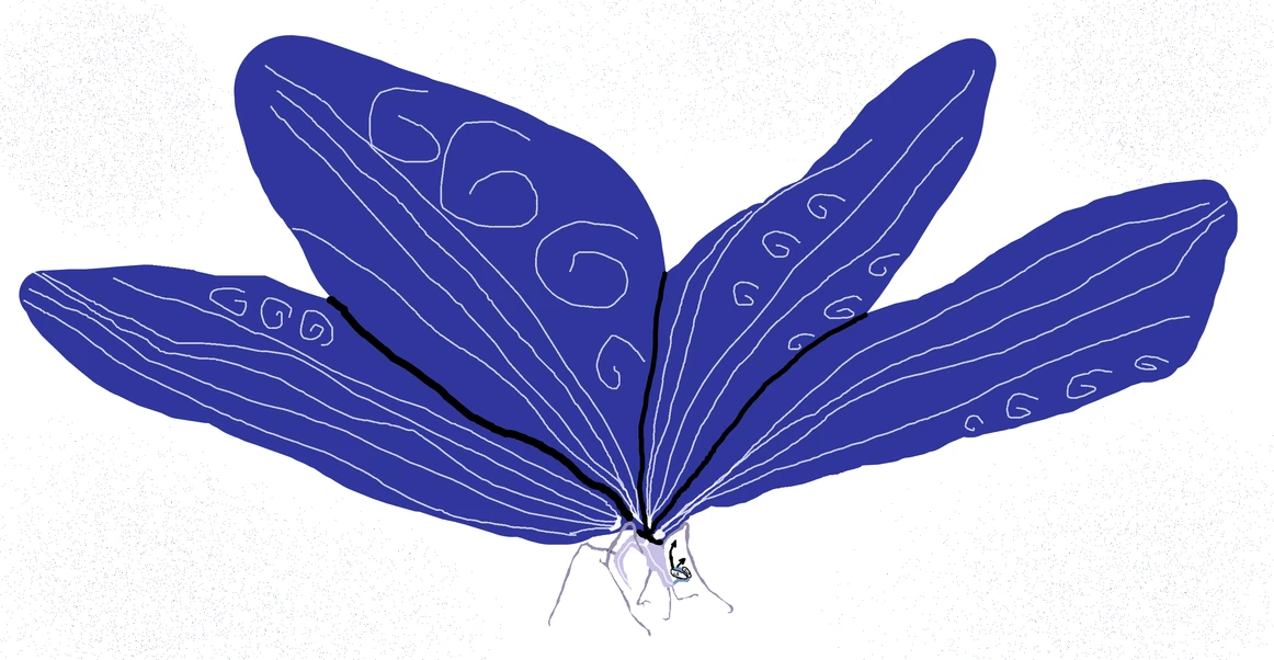 Time Butterfly | SpongeBob & Friends Adventures Wiki | Fandom