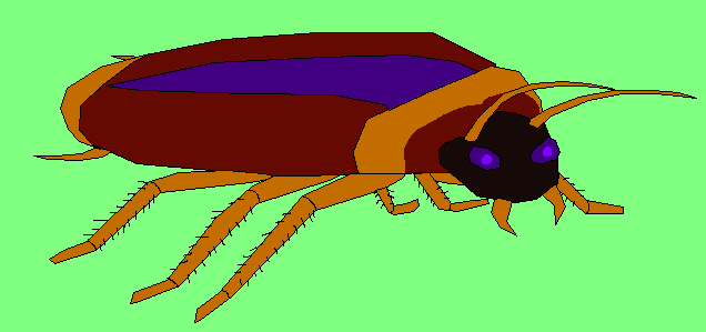 Giant Cockroach Spongebob And Friends Adventures Wiki Fandom