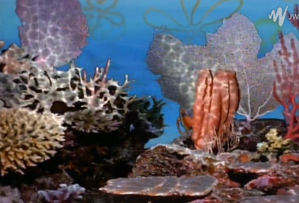 Cercasi aiuto/galleria | SpongeBob SquarePants Wiki | Fandom