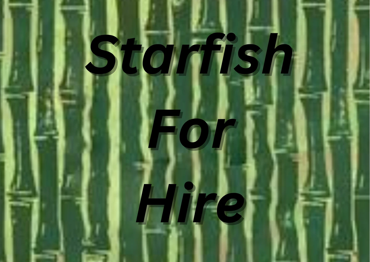 Starfish for Hire (Undersea Adventures) | Fanonia SpongeBobia | Fandom