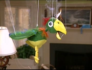 Potty the Parrot | SpongeBob Galaxy Wiki | Fandom