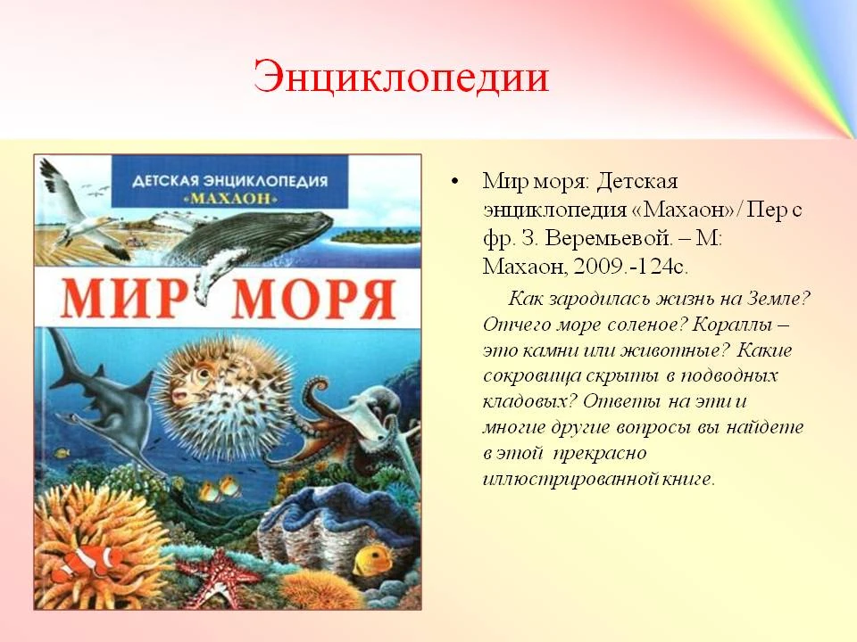 SquidBob/gallery | SpongeBob Galaxy Wiki | Fandom