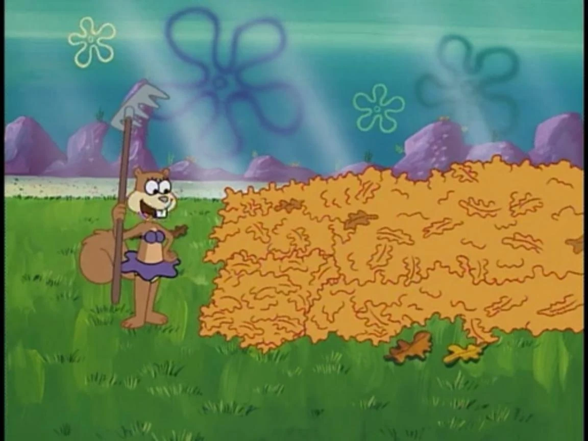 Sandy Cheeks/gallery/Prehibernation Week | SpongeBob Galaxy Wiki | Fandom