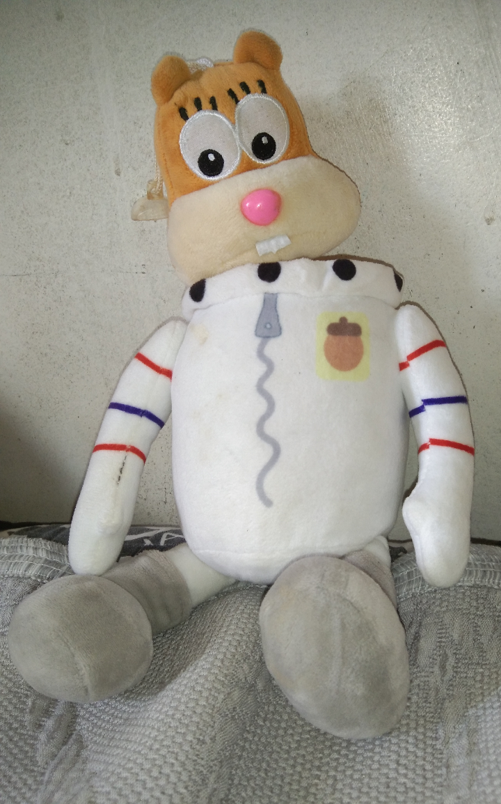 Unidentified Sandy Cheeks Plush Bootleg Spongebob Plush Wiki Fandom