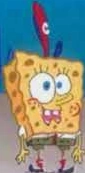 Spongeboy | Spongeboy Ahoy Wiki | Fandom