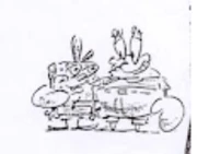 Spongeboy | Spongeboy Ahoy Wiki | Fandom