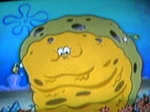 Fat Spongebob