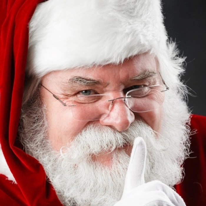 Meet Santa! | The Spongy Construction Project Wiki | Fandom