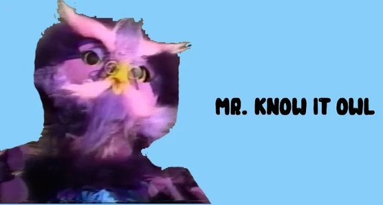 Know it owl DVD | Spoof Wiki | Fandom
