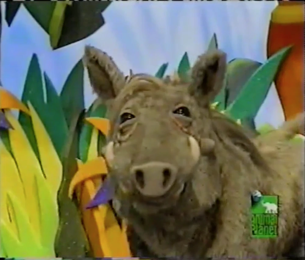 Warren the Warthog | Spoof Wiki | Fandom
