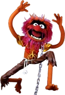 Animal (The Muppets) | Spoof Wiki | Fandom