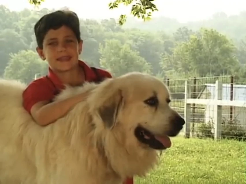 Cedarmont Story (Toy Story) (1995) | Spoof Wiki | Fandom