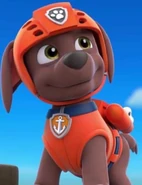 Finding Zuma | Spoof Wiki | Fandom